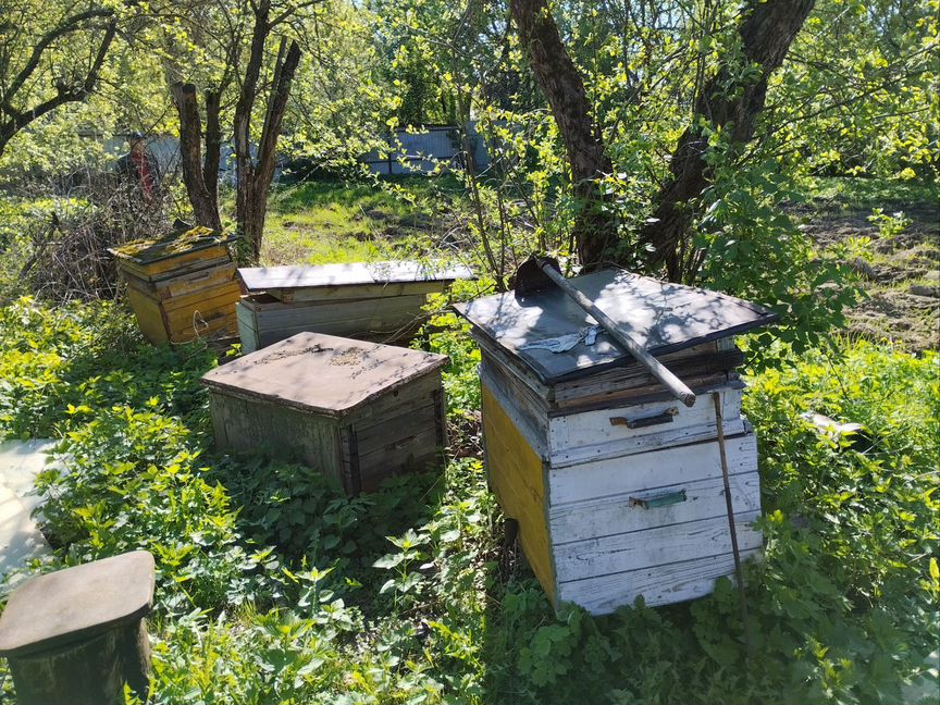5 улей для пчел бу