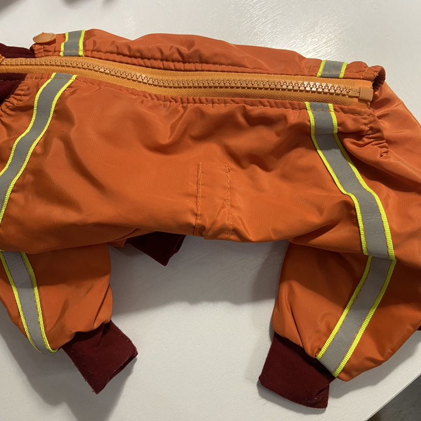 Одежда для собак