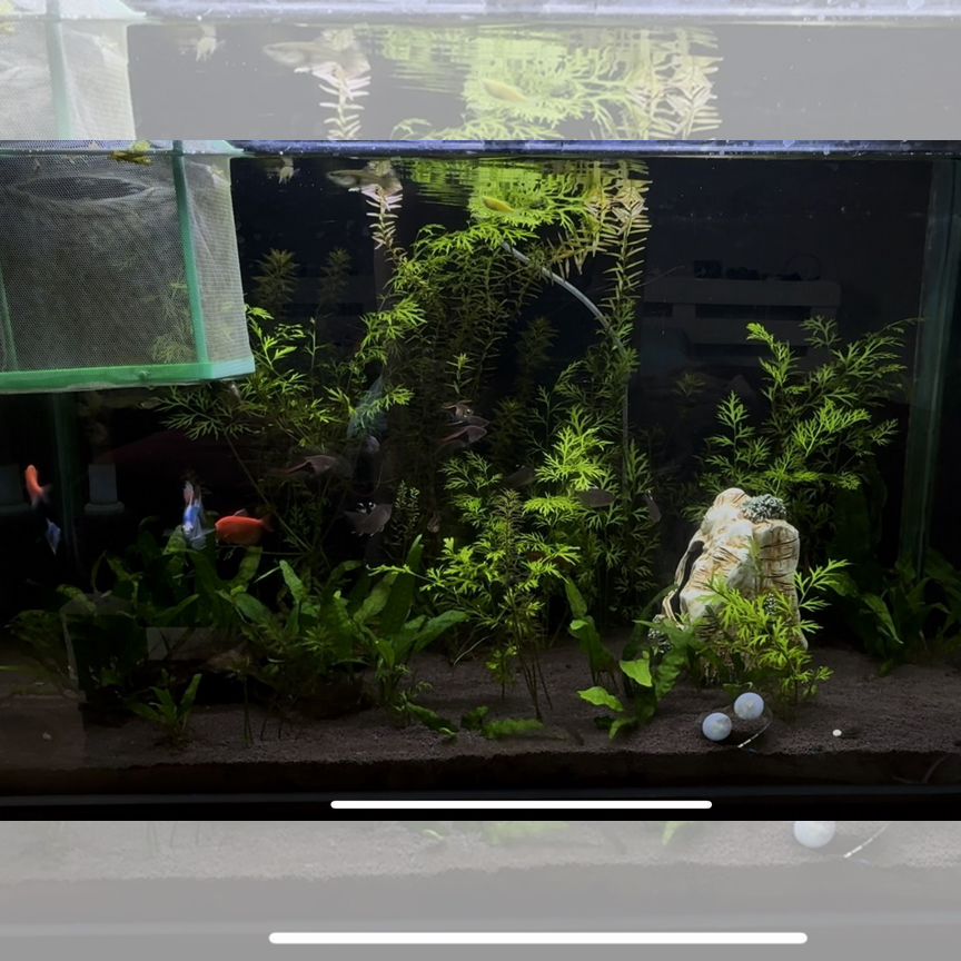 Аквариум 120л