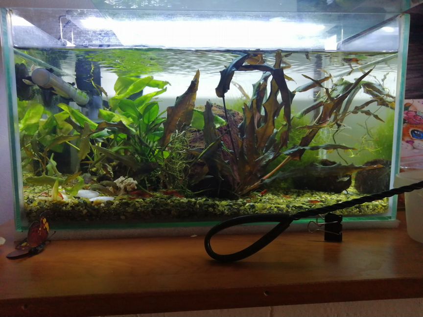 Аквариум 20 литров