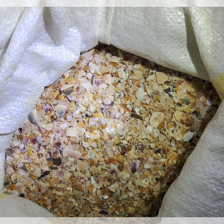 Аквариумный грунт-ракушечник