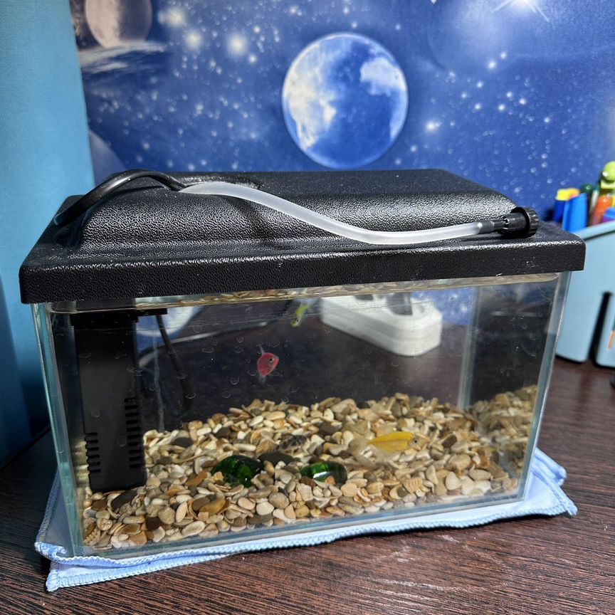 Аквариум с рыбками