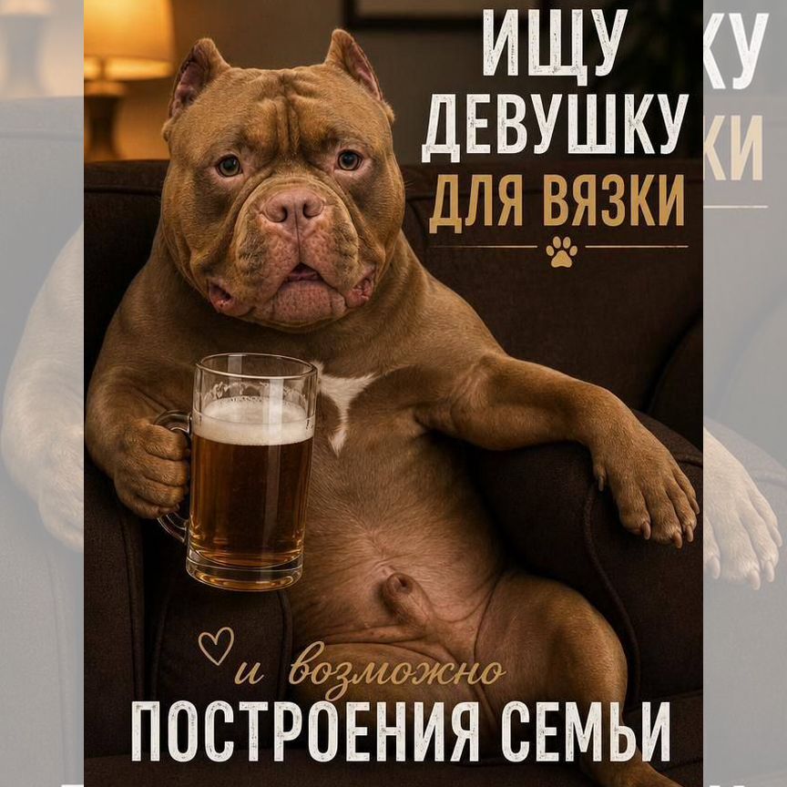 Американский булли, вязка