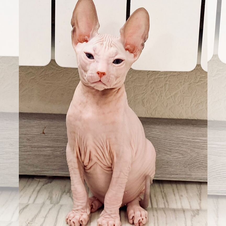 Донские дети