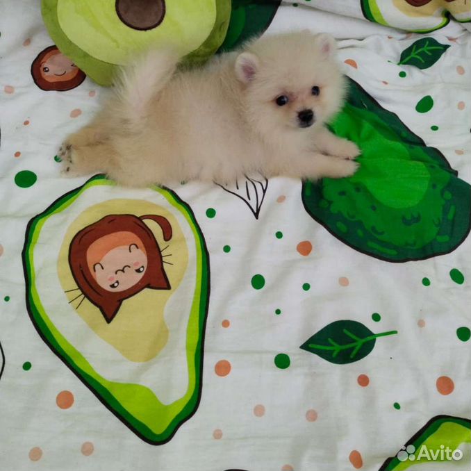 Мальчиши-кремыши