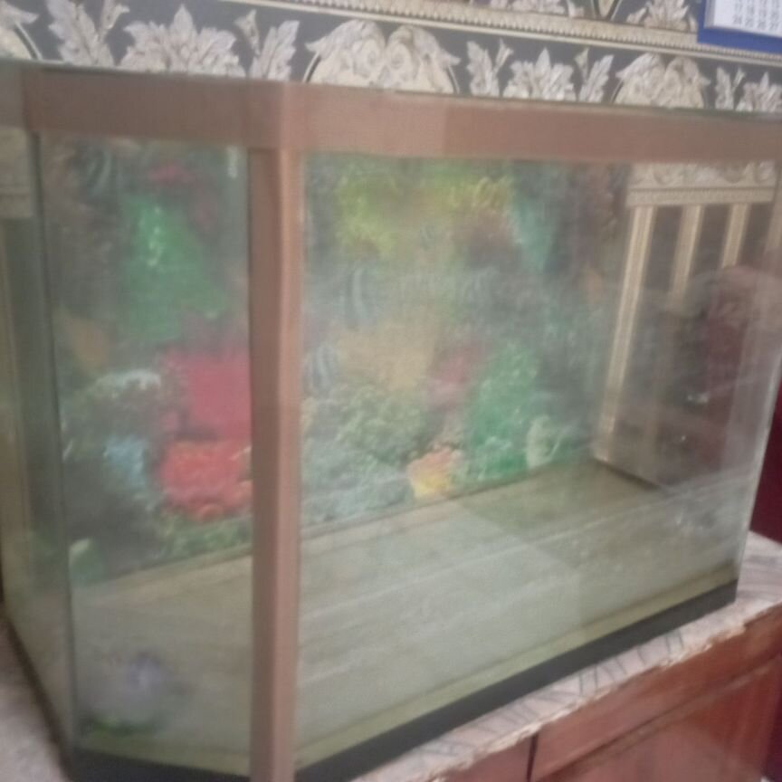 Аквариум, террариум