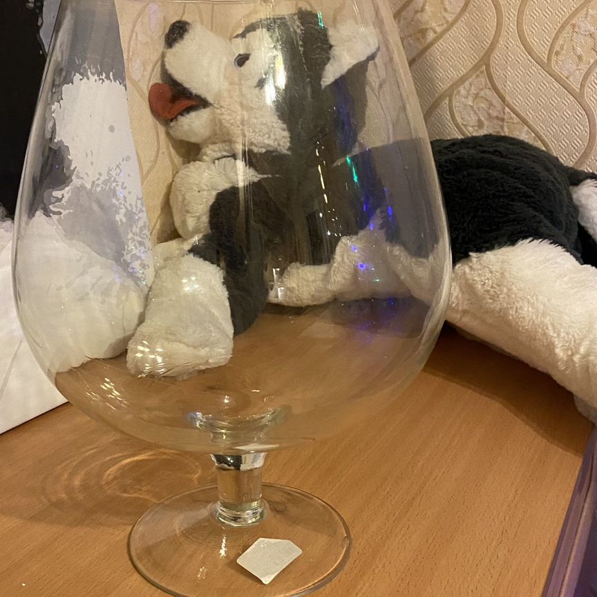 Аквариум 5 литров