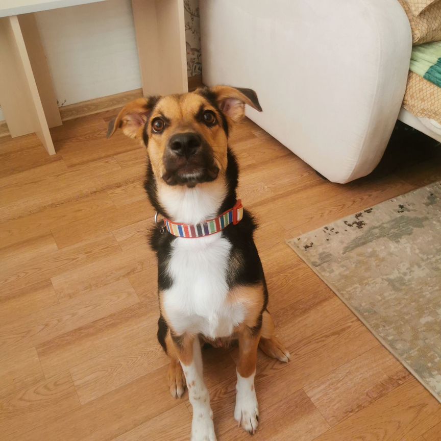 Филипп ищет семью