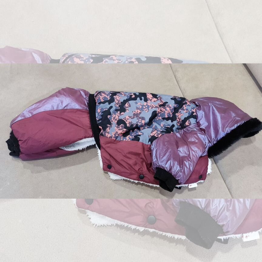 Одежда для собак