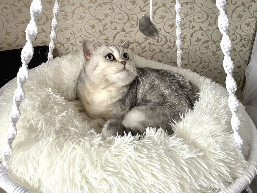 Гамак для кошки макраме