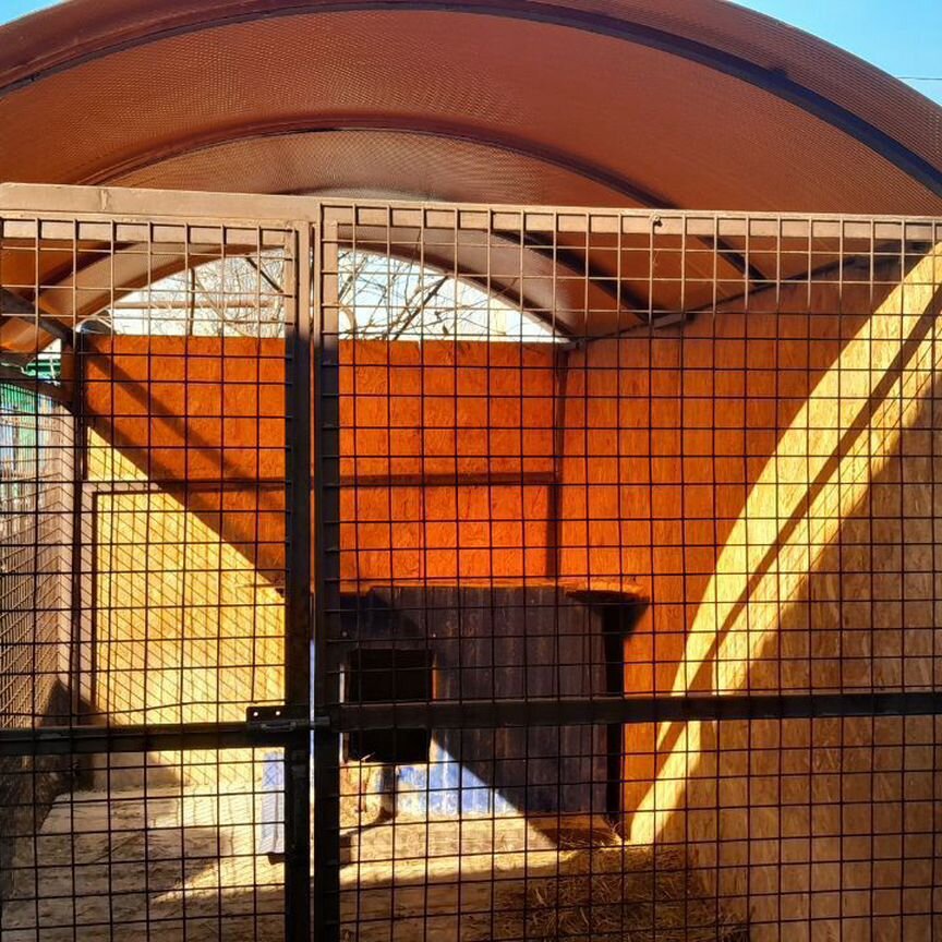 Вольер для собак уличный