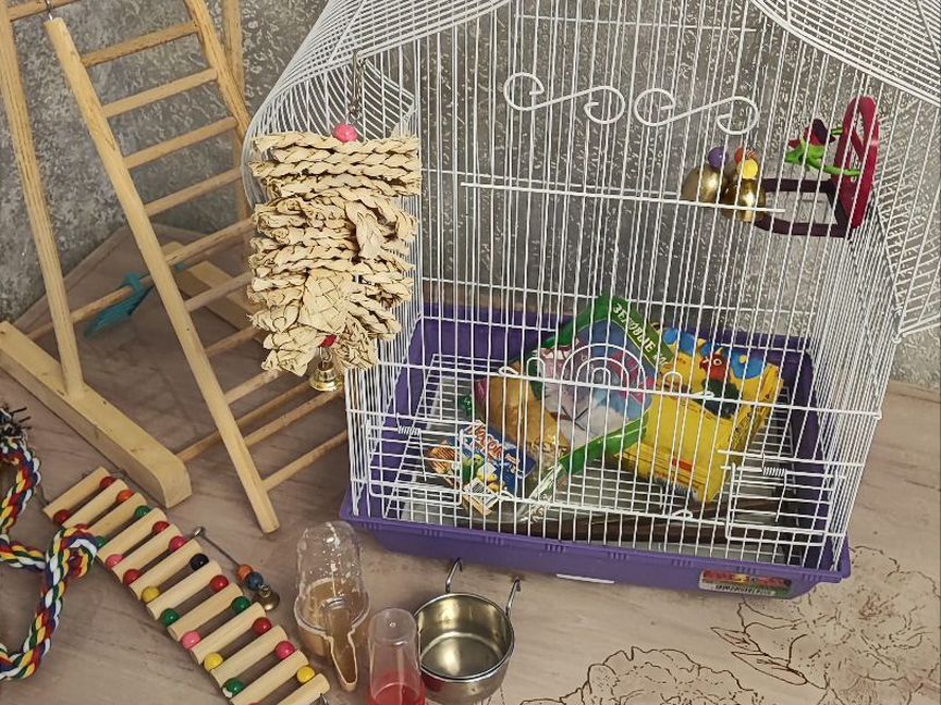 Клетка для попугая корелла