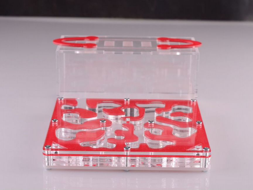 Муравьиная ферма Формикарий "Мини"