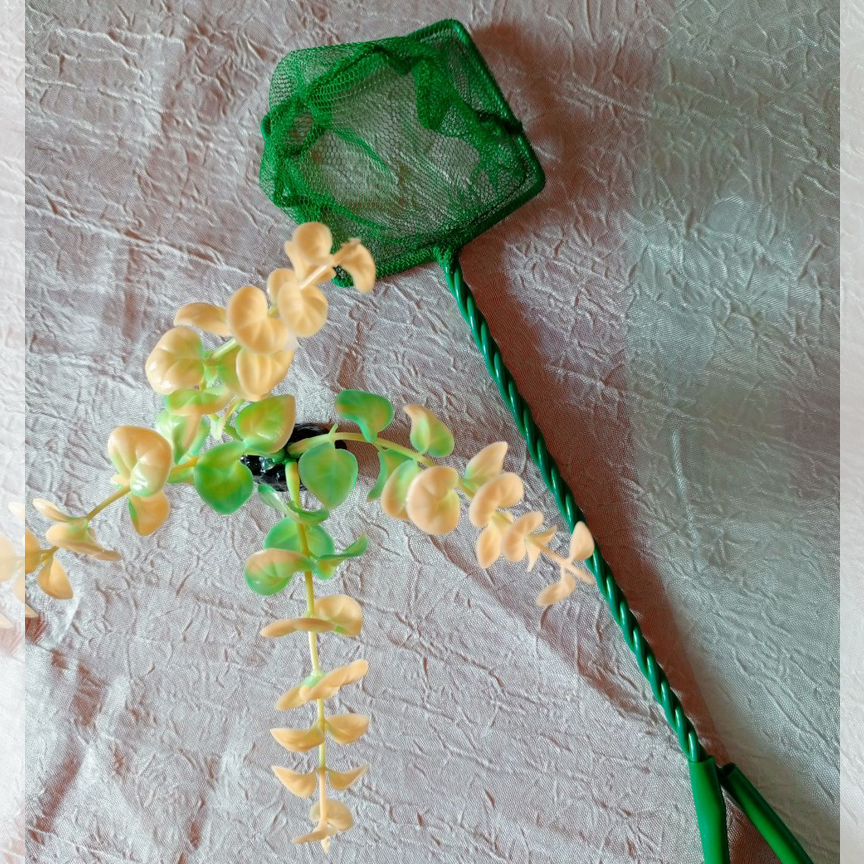 Сачек для аквариумных рыбок