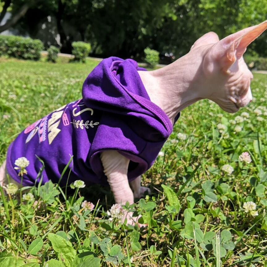 Толстовка для кошек