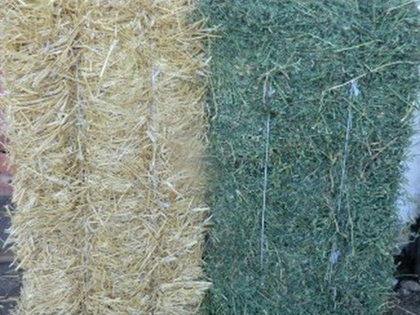 Мешки. Сено луговое. Солома. 2023