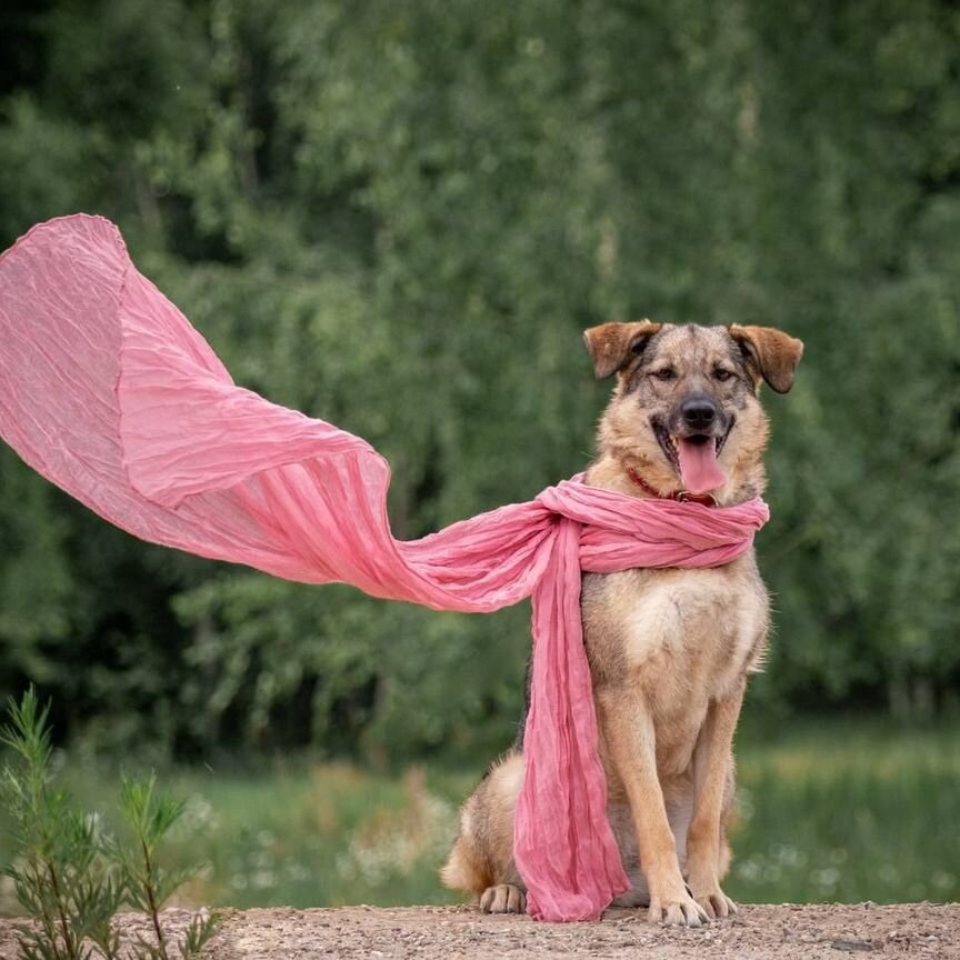 Красавица Боня станет самым лучшим другом