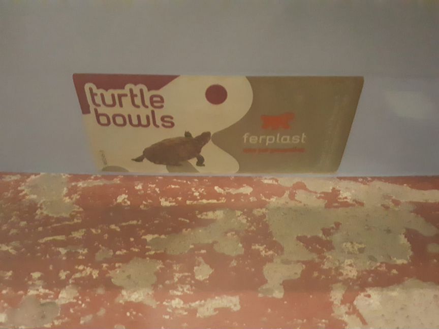 Террариум для черепахи