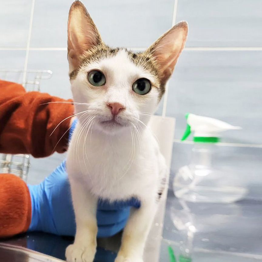 Блондин 5 месяцев