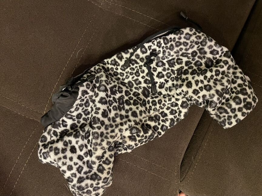 Одежда для собак мелких пород