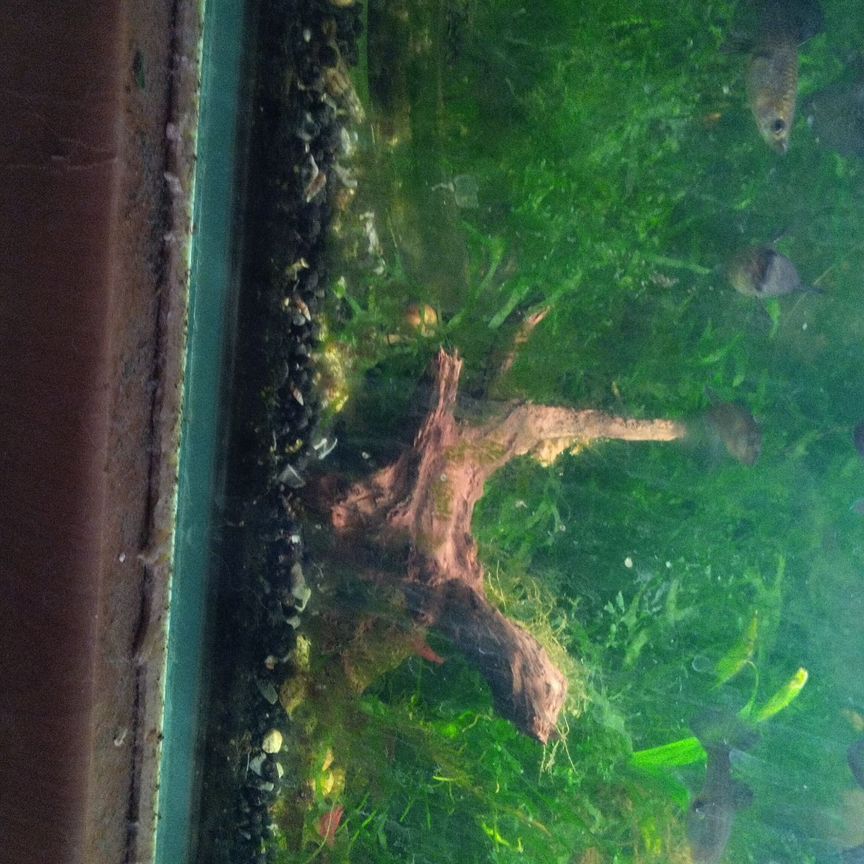 Аквариум 30 л