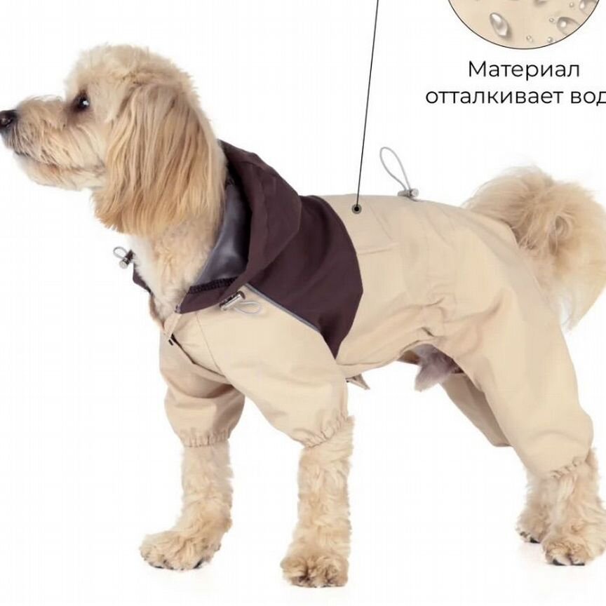 Одежда для собак дождевик