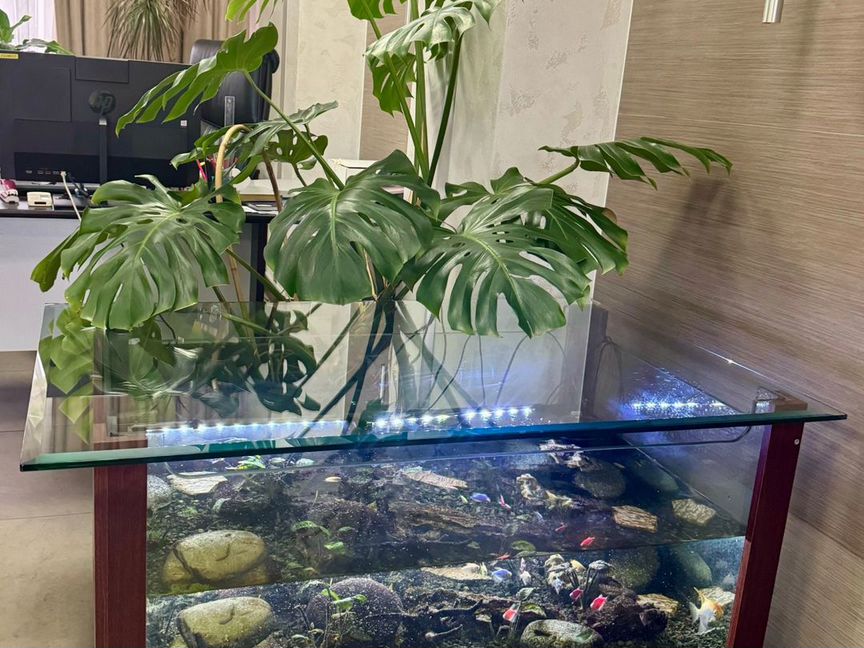 Аквариум - стол