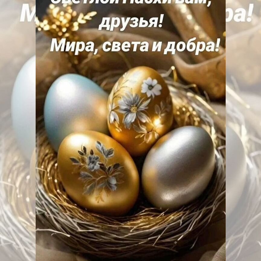 Инкубационные яйцо