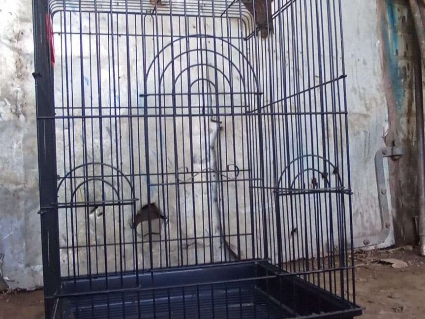 Большая клетка для попугая