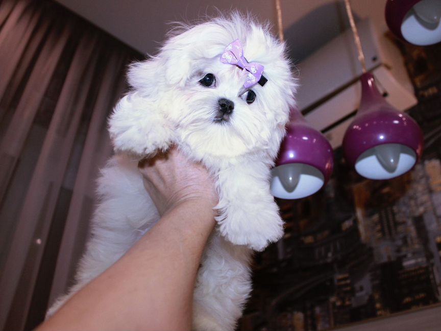 Эксклюзтвный беби-фейс мини малыш 3 мес