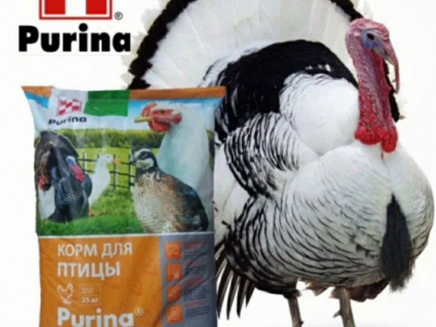 Комбикорм Пурина (Purina)