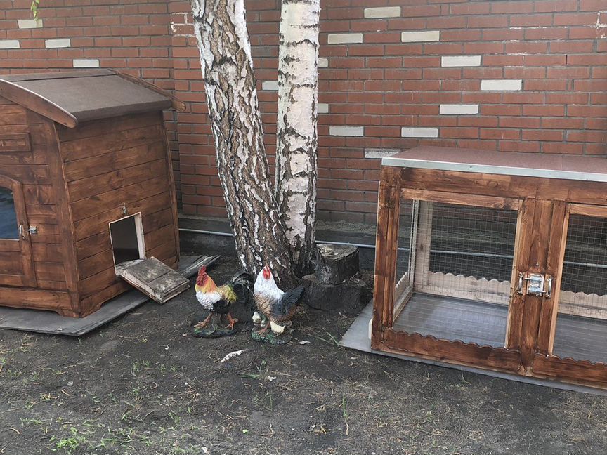 Курятник с вальером круглогодичный утепленный