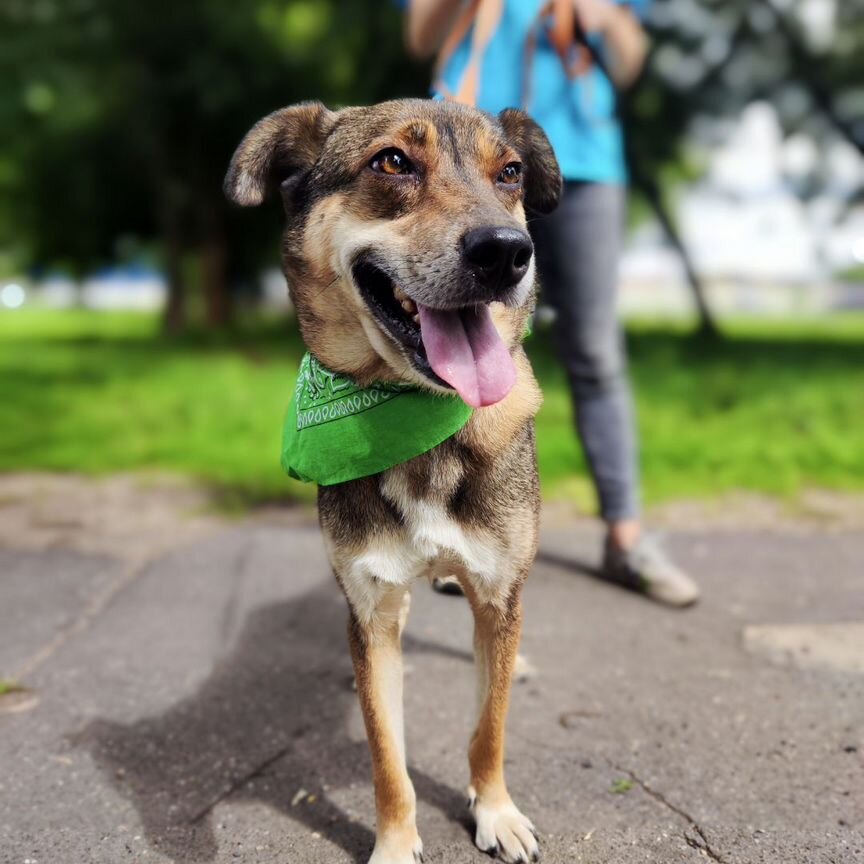 Чаплин тоскует в приюте