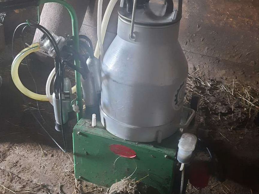 Доильный аппарат бу