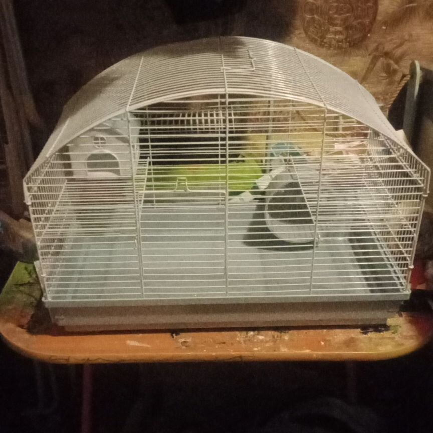Клетка для грызунов