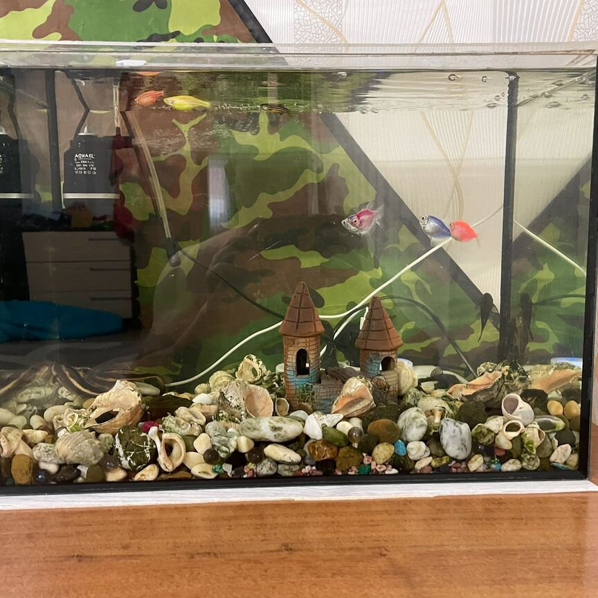 Аквариум с рыбками