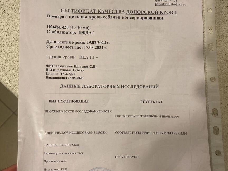 Кровь цельная для собаки, первая положительная