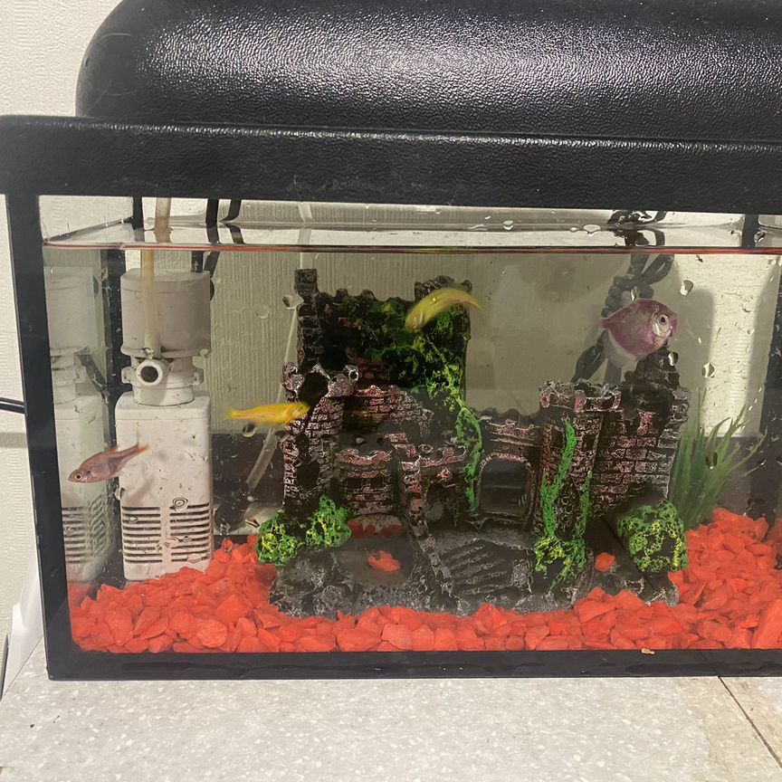 Аквариум с рыбками