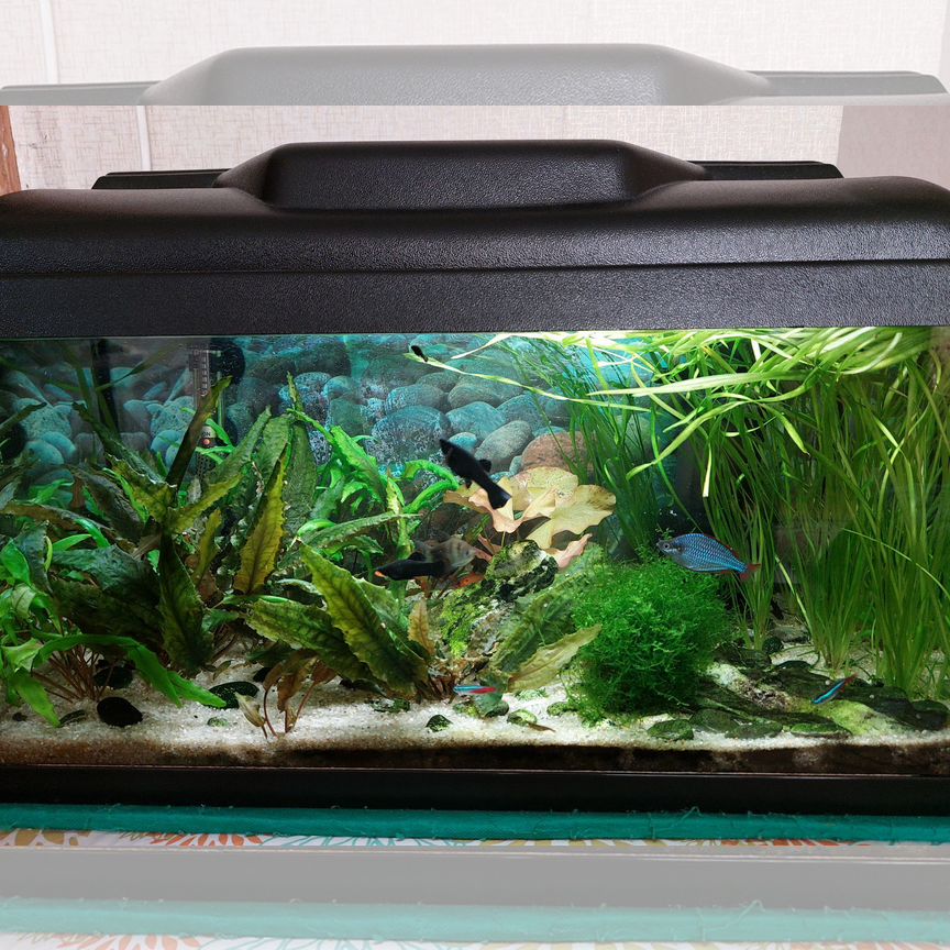 Аквариум juwel