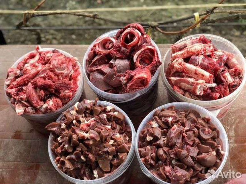 Мясо и Субпродукты для собак (Оптом)