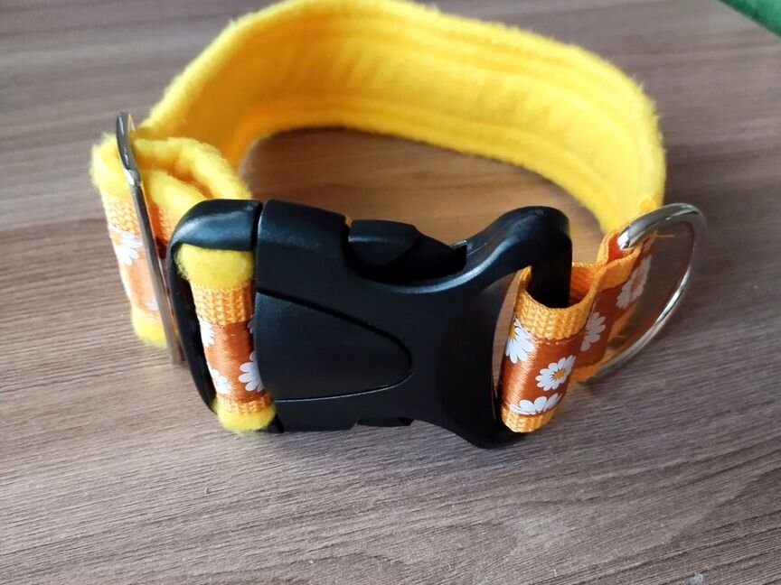 Амуниция для собак