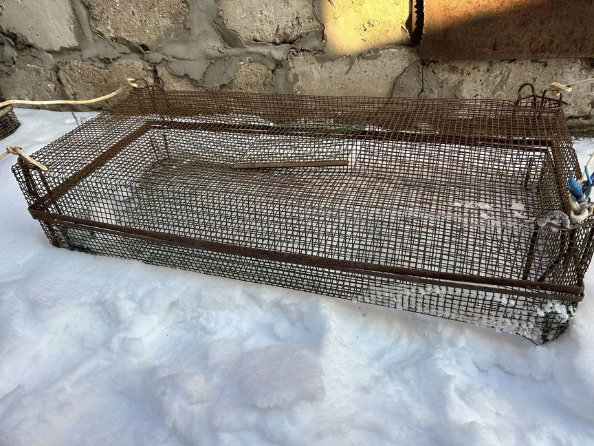 Сетки для перевозки кур, цыплят