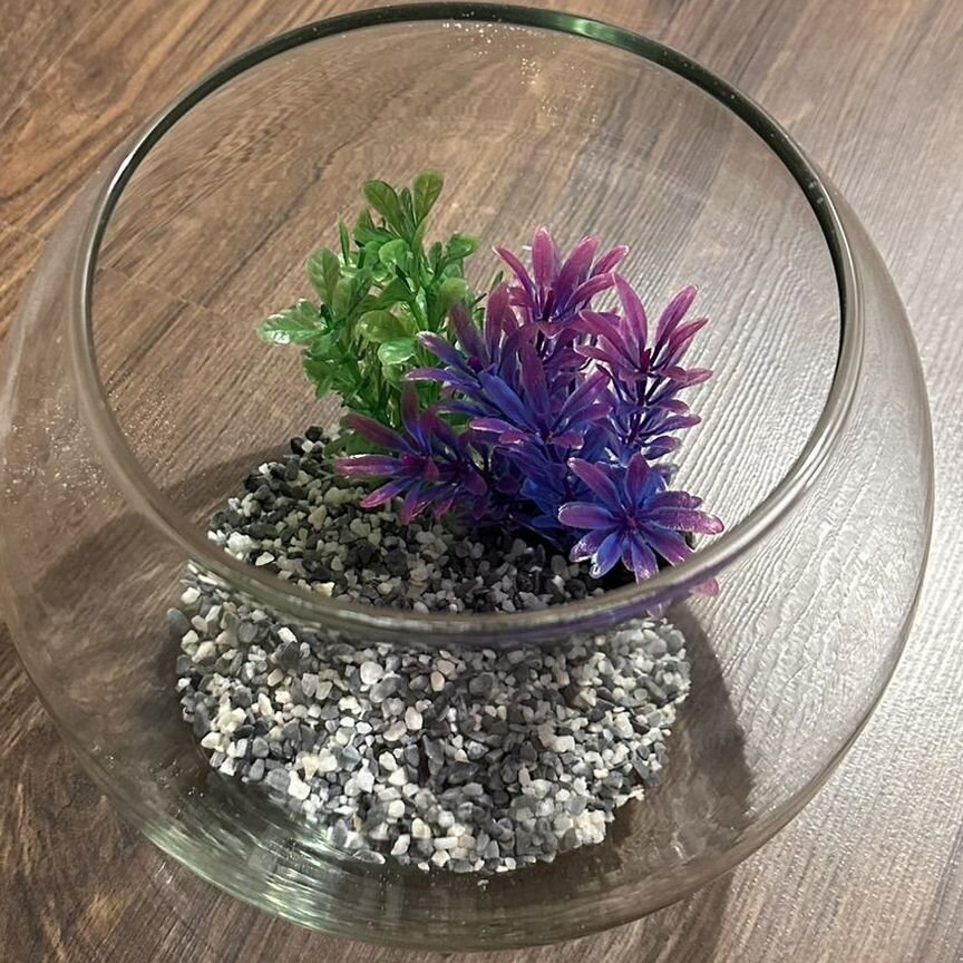 Аквариум для рыбки