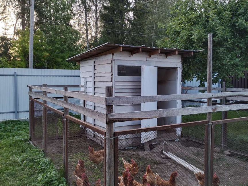 Курятник зимний