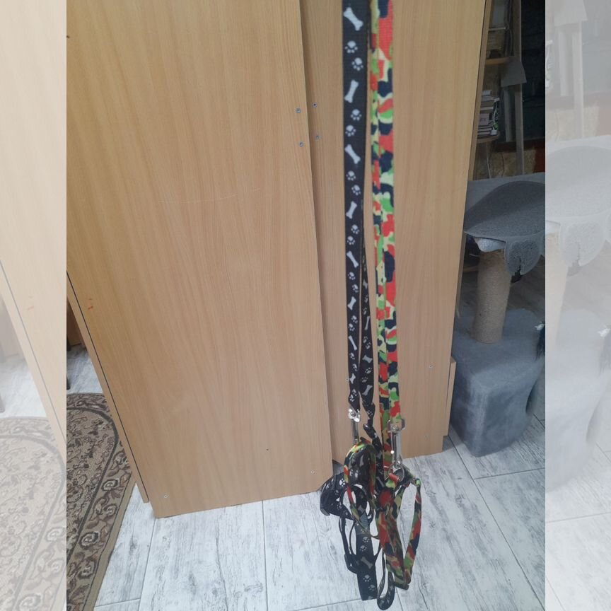 Шлейка для маленькой собаки, шлейка для кошки