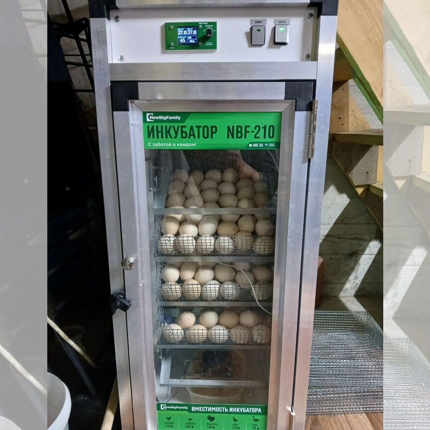 Инкубатор для яиц автоматический nbf