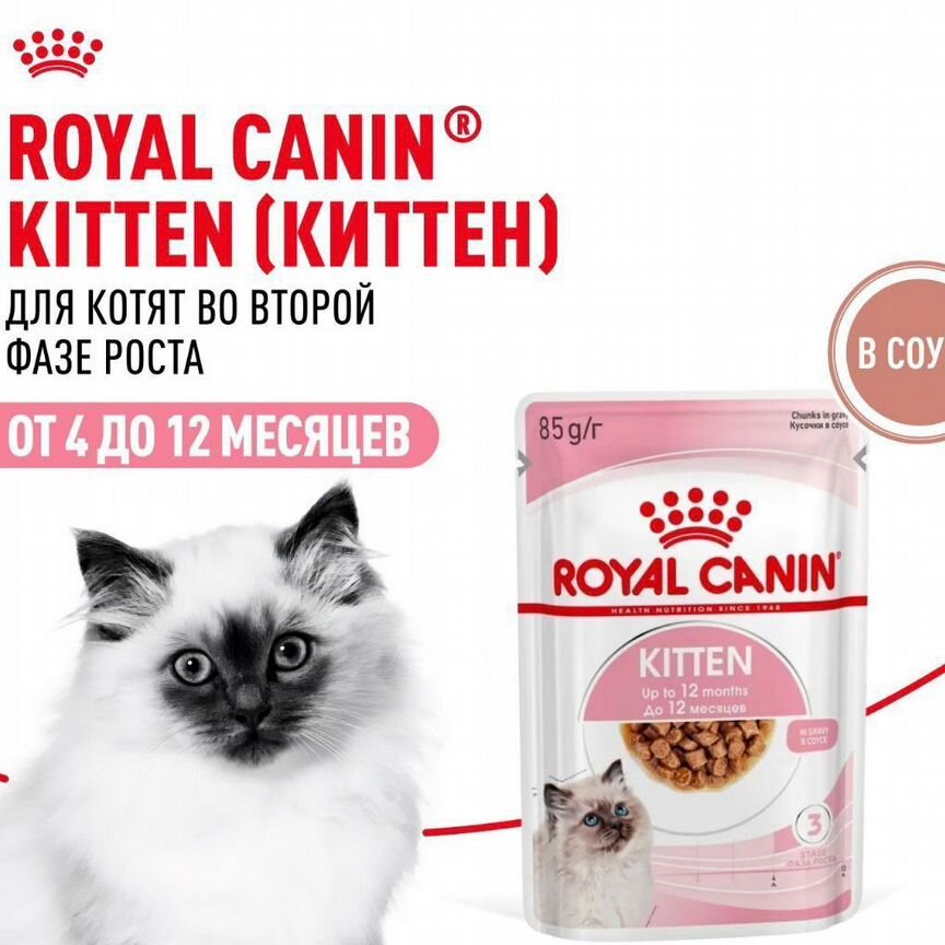 Влажный корм для котят royal canin