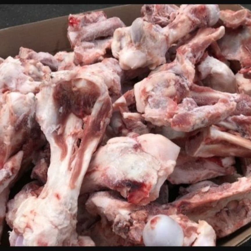 Кости для животных