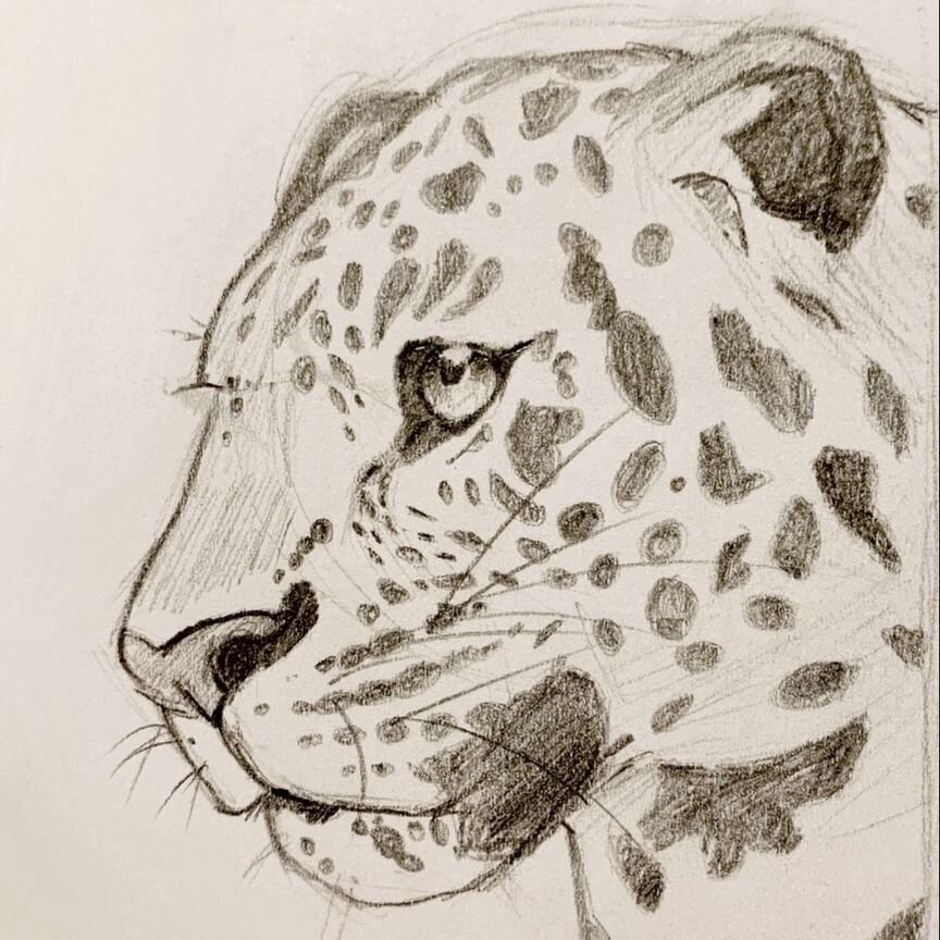 Рисую ваших питомцев