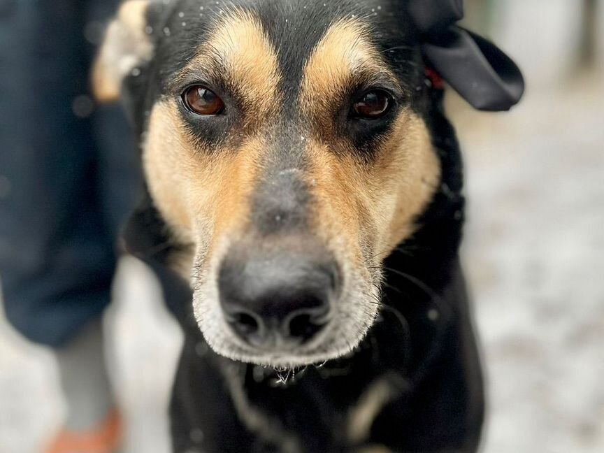 Мэй устала от жизни узника